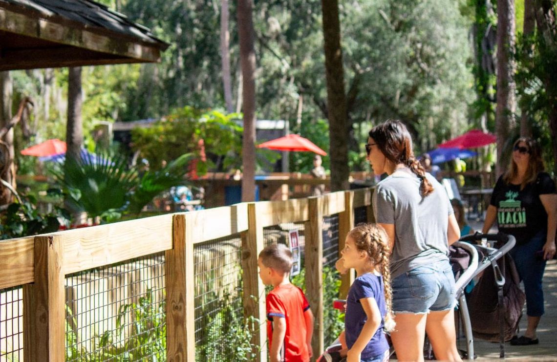 Central Florida Zoo & Botanical Gardens Offers More Time to Enjoy Wild ...