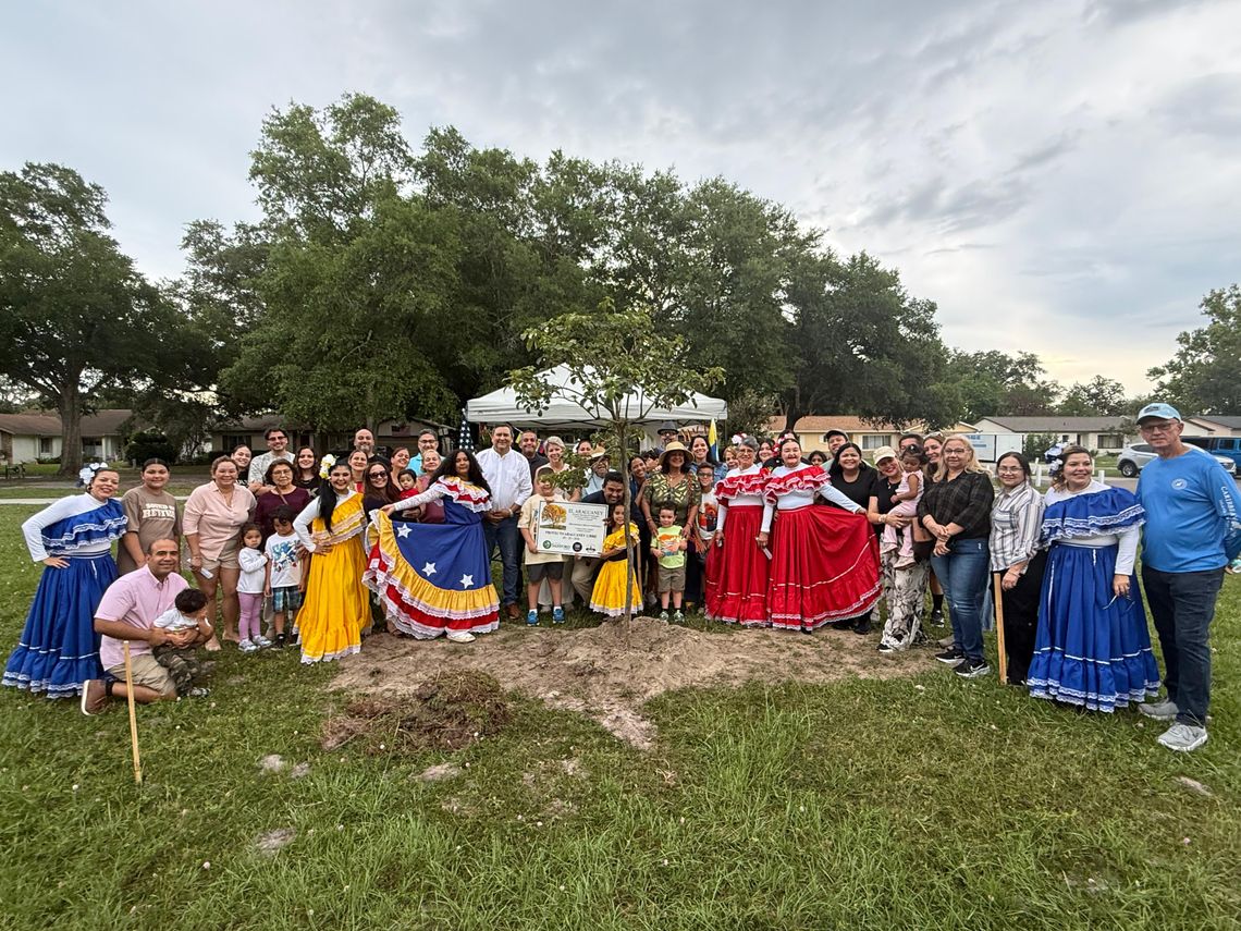 Venezolanos en Sanford Plants the Araguaney, Venezuela’s National Tree ...